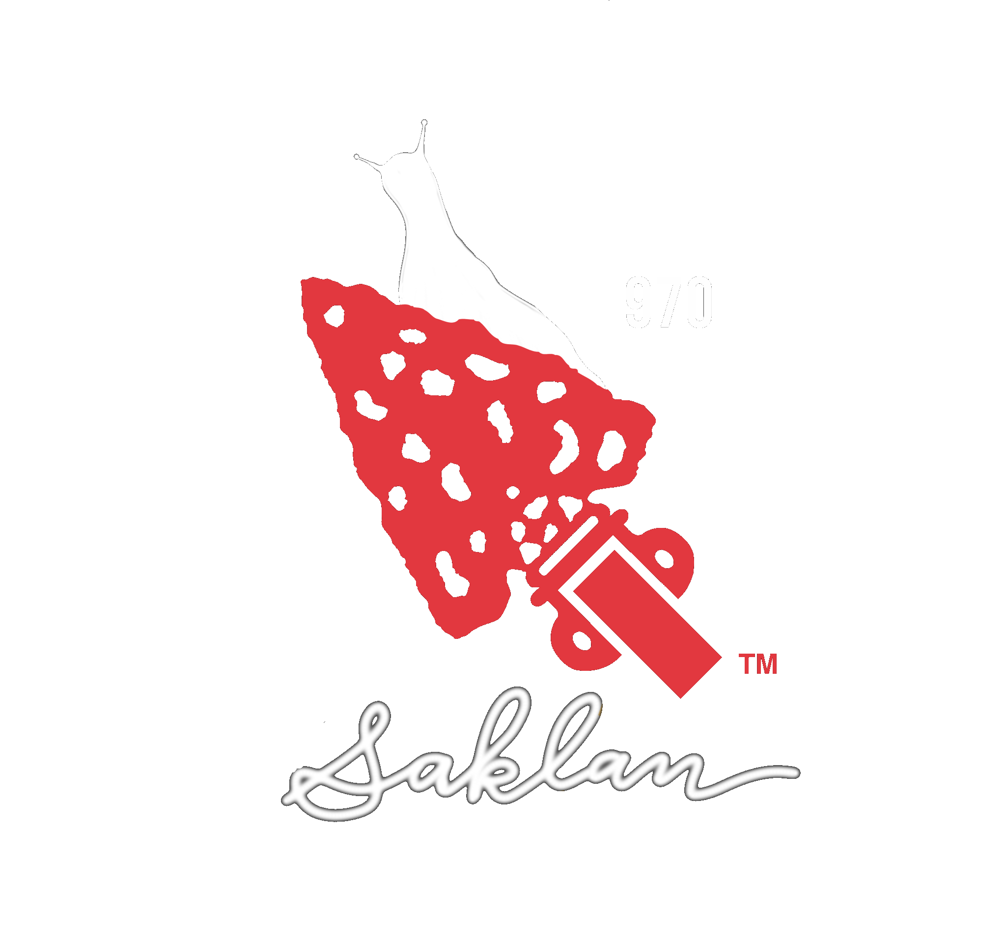 Saklan Lodge – Order of the Arrow